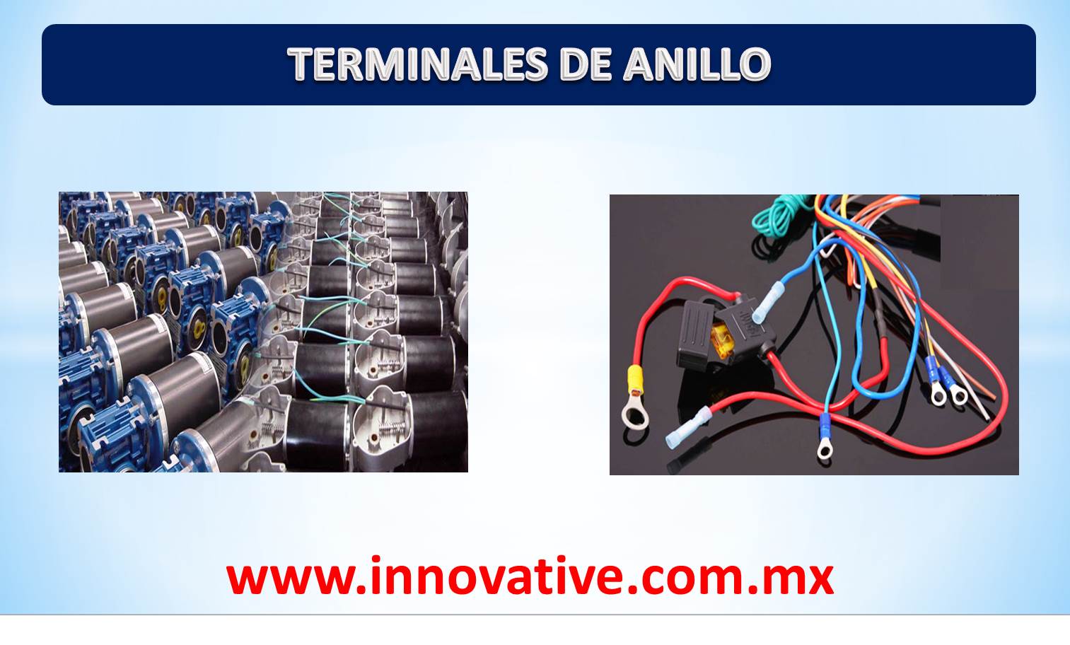 TERMINALES DE ANILLO